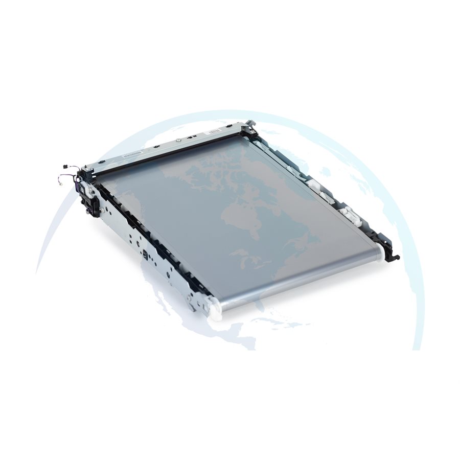 Transfer Belt